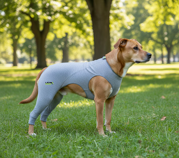 Lick Sleeve® Rear Bilateral Suit